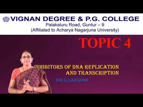 BT5 MOLECULAR BIOLOGY UNIT III INHIBITORS OF REPLICATION AND TRANSCRIPTION
