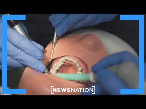 Drug to regrow teeth may be on market by 2030 | NewsNation Live