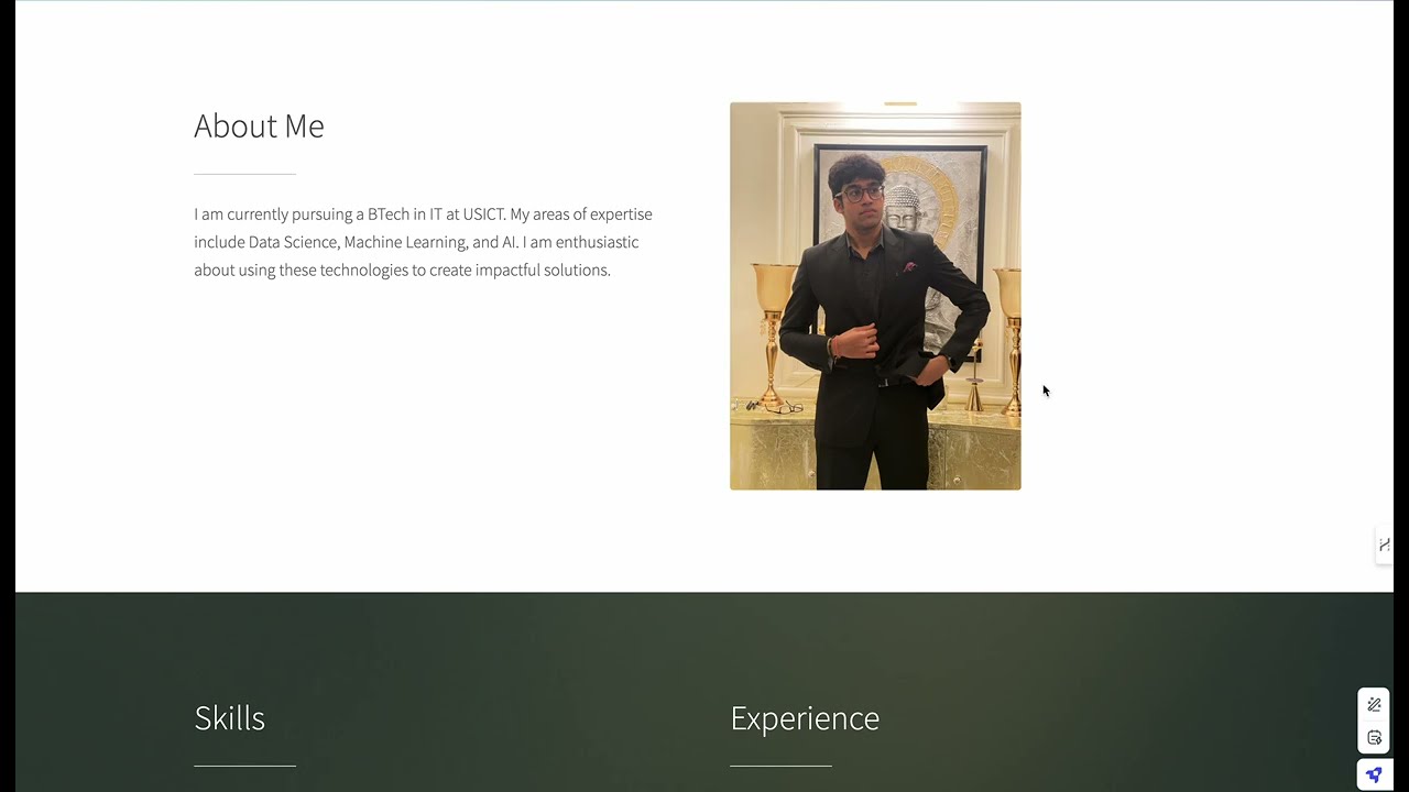MY First Portfolio Website
