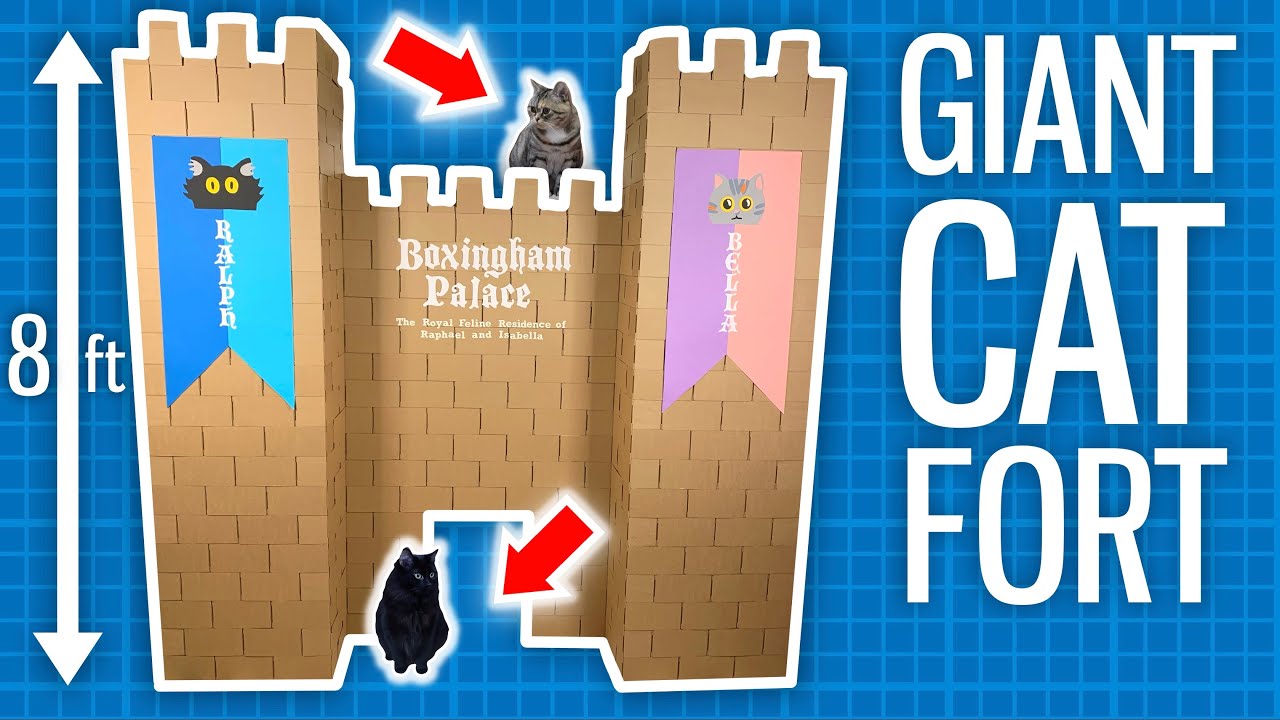 I Built A GIGANTIC Cat Fort For My Cats