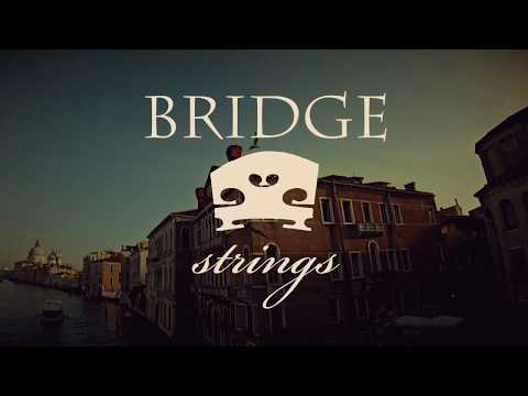 Accademia Bridge Venice - Ponte dell'Accademia - over the Grand Canal