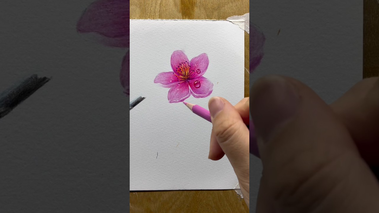 Realistic Flower Drawing with Color Pencil | Step-by-Step Art for Beginners
