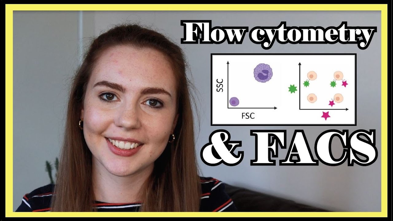 Flow Cytometry & FACS  |  Beginner Data Interpretation Tutorial