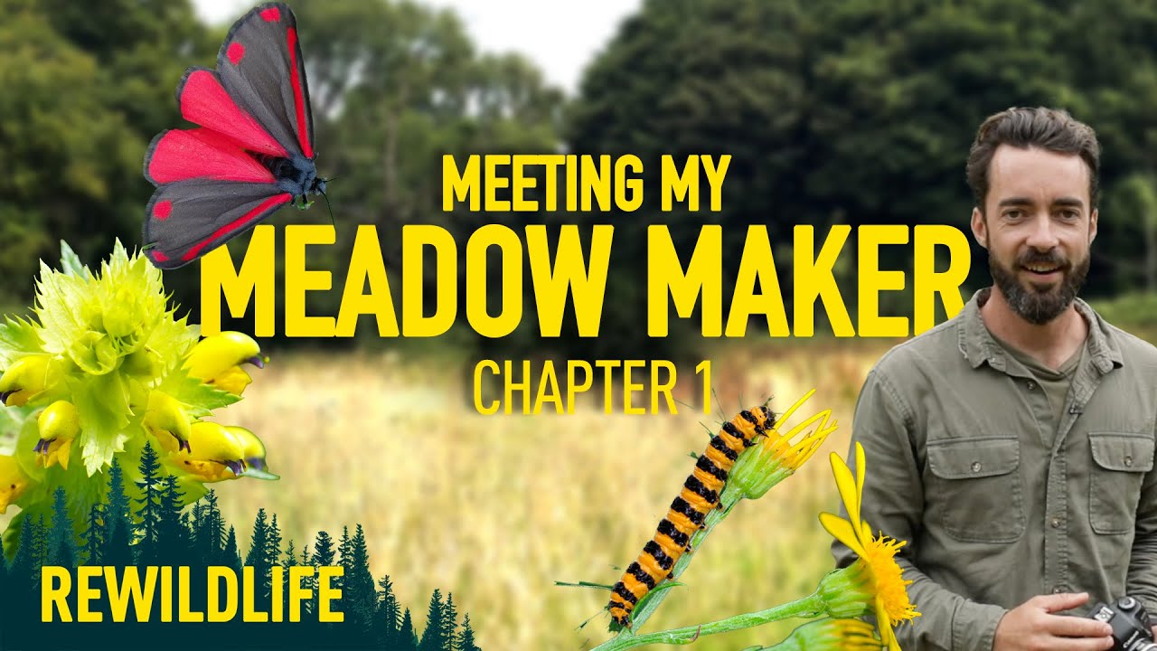 Meeting my MEADOW MAKER- Chapter 1