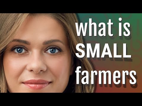Small farmers | meaning of Small farmers