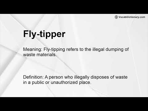 Fly-tipper Meaning