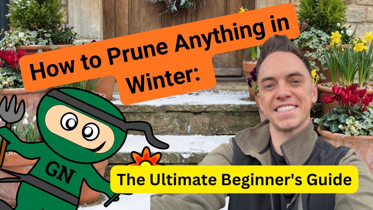 How to Prune Anything in Winter: The Ultimate Beginner's Guide
