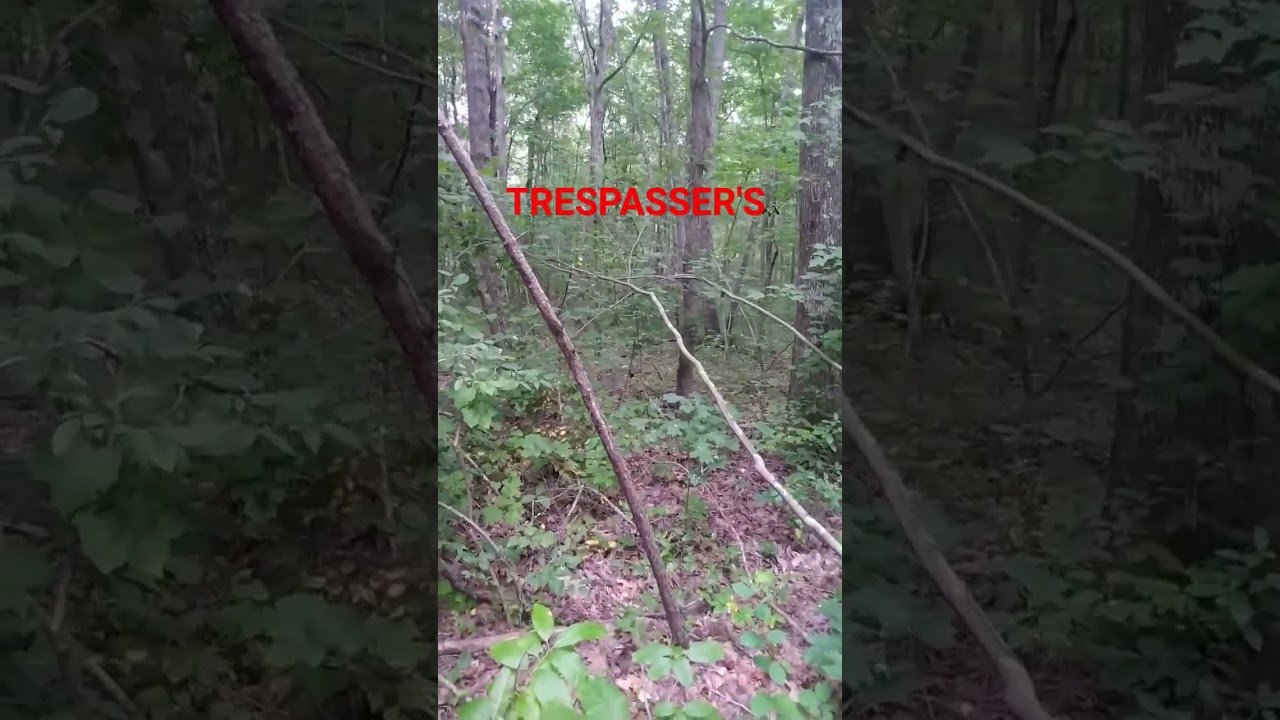 UNBELIEVABLE!!!TRESPASSERS ON PRIVATE HUNTING PROPERTY #hunting #trespassing #thief #deer