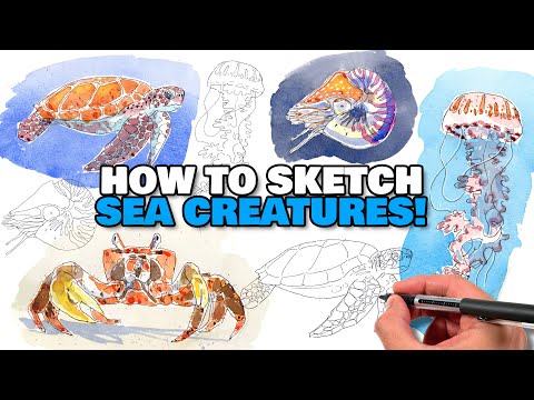 How To Sketch ANYTHING! | Sea Creatures Loose Ink & Watercolor