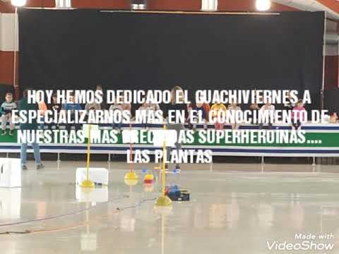 GUACHI PLANTAS 2 – Blog CEIP San Javier