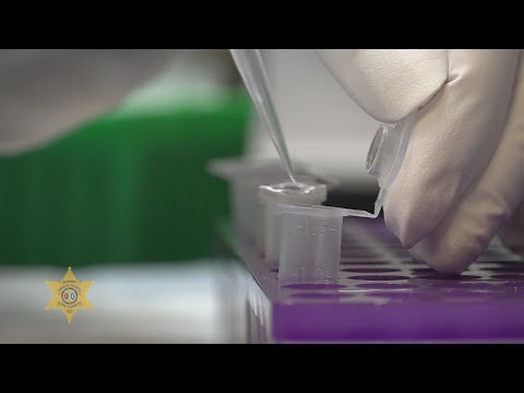 2024 National Forensic Science Week - YCSO DNA Lab