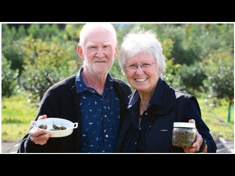 Growing capers in New Zealand