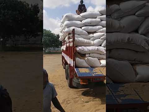 Rice Husk - Rice Hulls Latest Price, Manufacturers & Suppliers