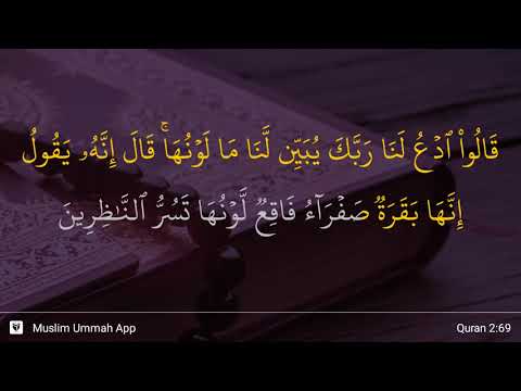 Al-Baqarah ayat 69
