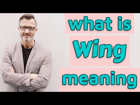 Wing | Meaning of wing