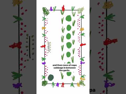 My Favorite Cool Season Planting Plan #gardenary #gardening #plantingplan