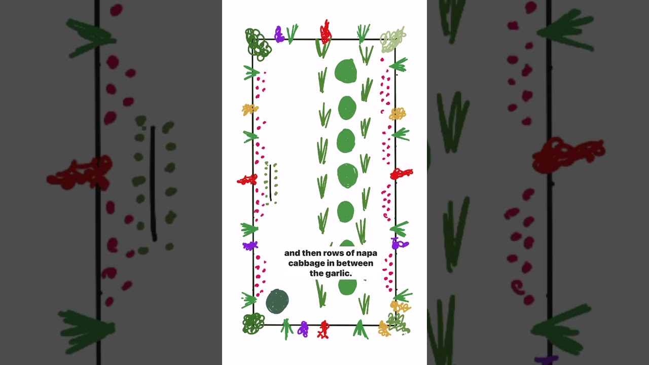 My Favorite Cool Season Planting Plan #gardenary #gardening #plantingplan
