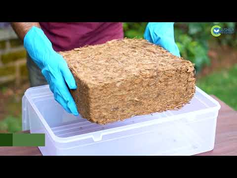 Coconut Husk Chips - Coir Husk Chips Latest Price, Manufacturers ...
