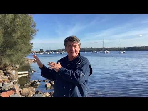 Swansea Fishing Report 19/06/2025