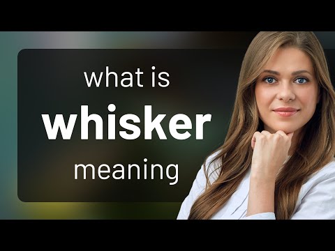 Whisker — what is WHISKER meaning