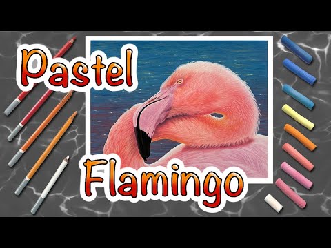 FLAMINGO IN SOFT PASTEL & PASTEL PENCIL DETAIL