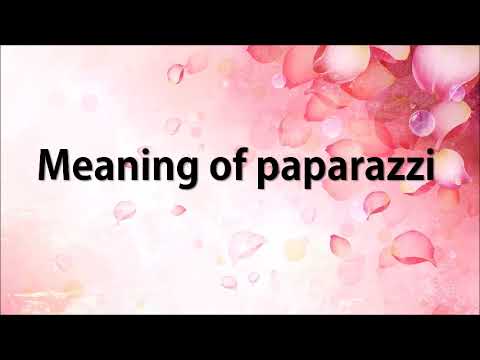 Meaning of paparazzi