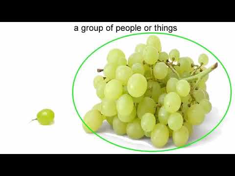 bunch meaning | Vocabulary for Kids | Children's Dictionary | Learn English Vocabulary