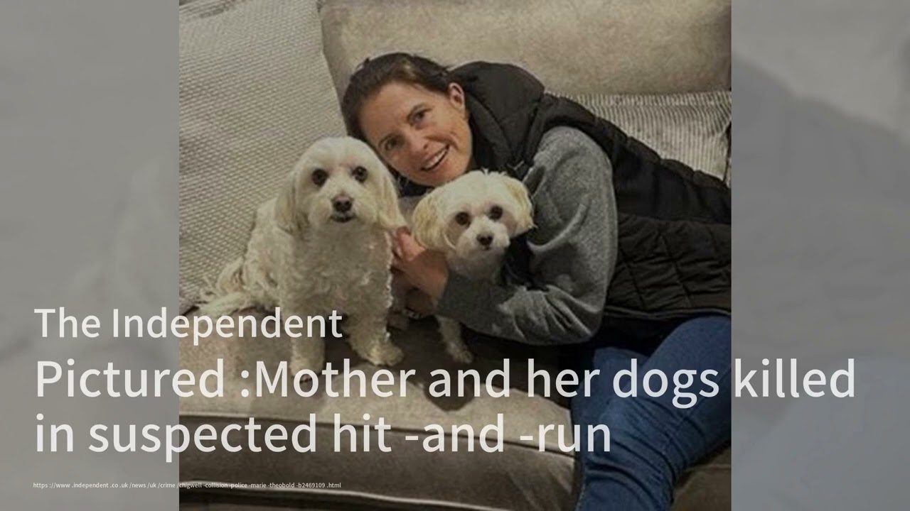 GM pauses sales of Chevy Blazer EV over software issues；Looking for a last-minute gift on Christmas