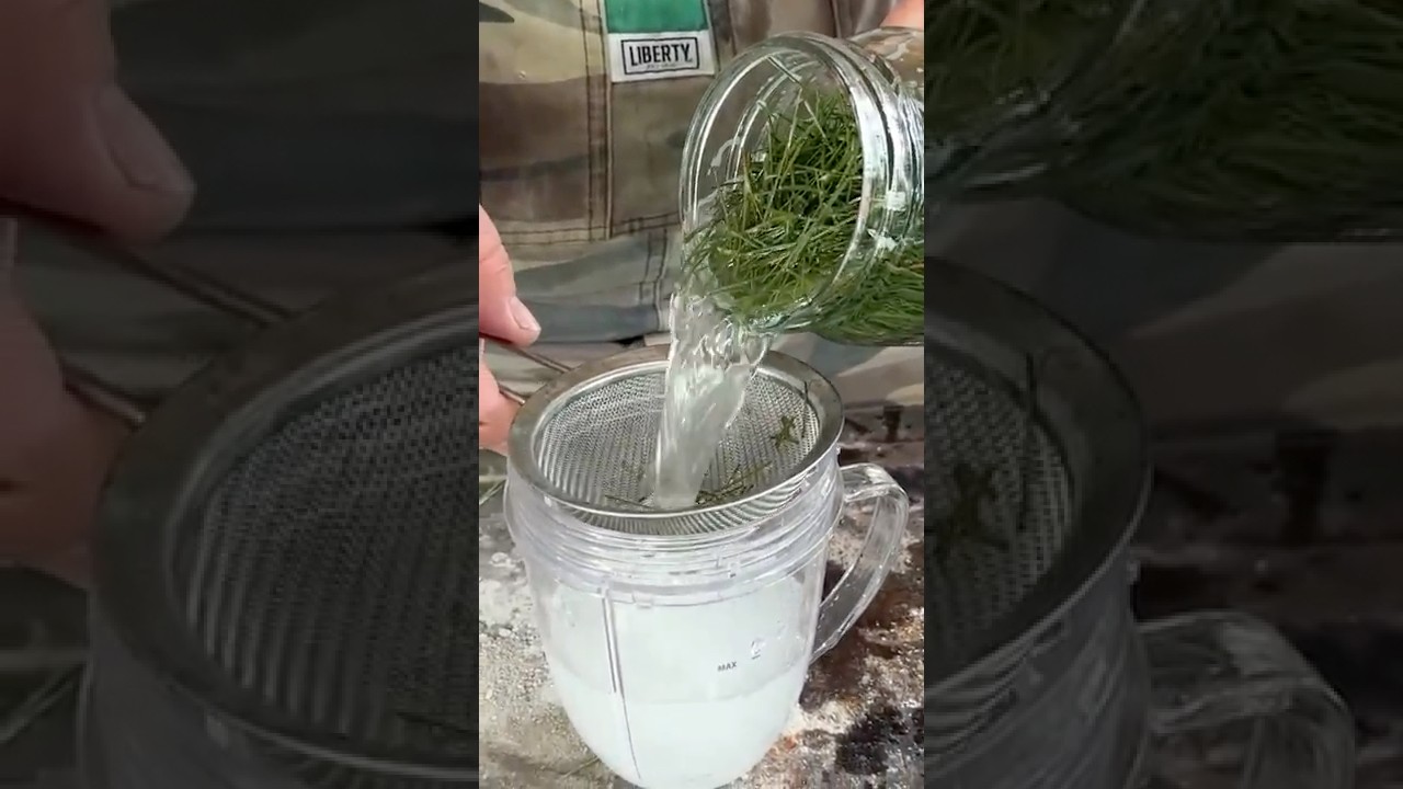 Making Sprite from Pine Needles!