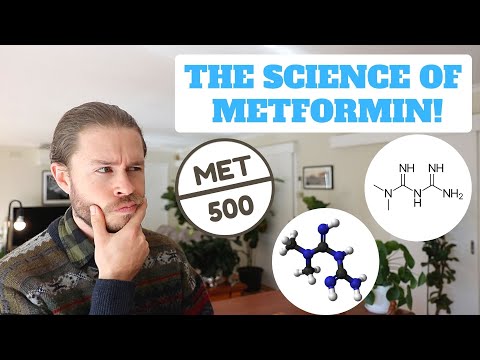 How Does Metformin Work?