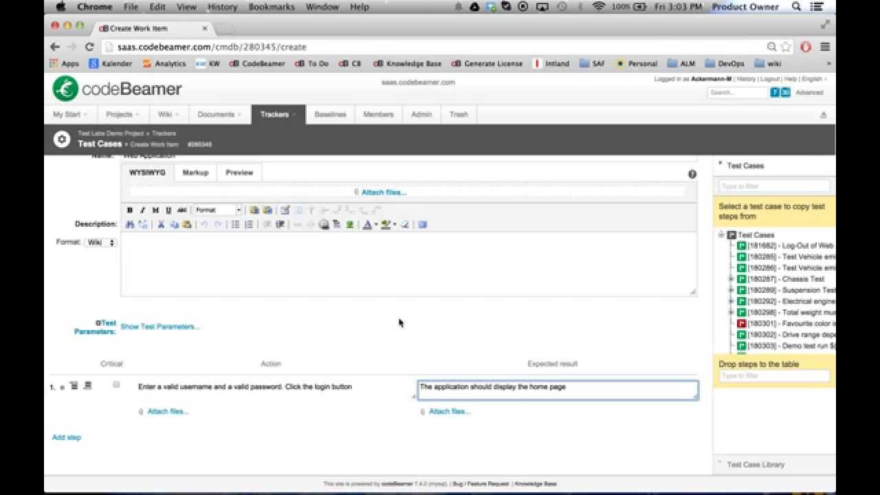 Test Cases and Test Steps