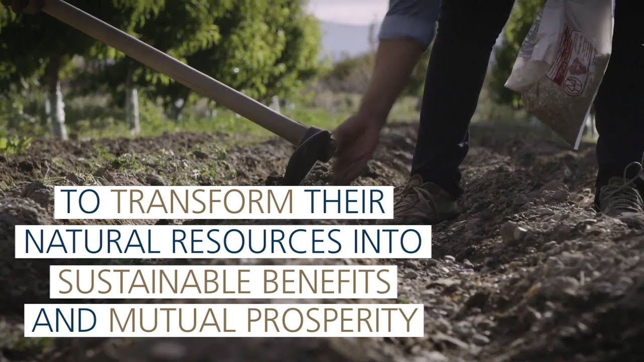 Introducing our Sustainability Vision