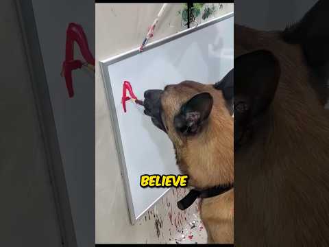 This Dog Can Write Anything 🤯