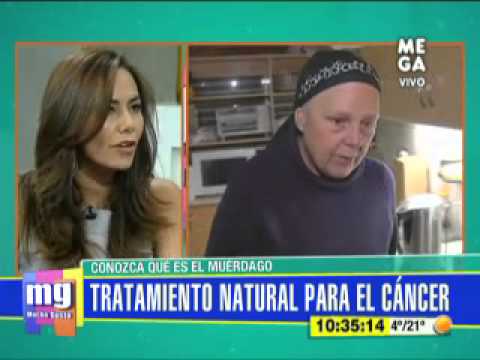 Muérdago, tratamiento natural para el cancer – Helixor/Muérdago Blog