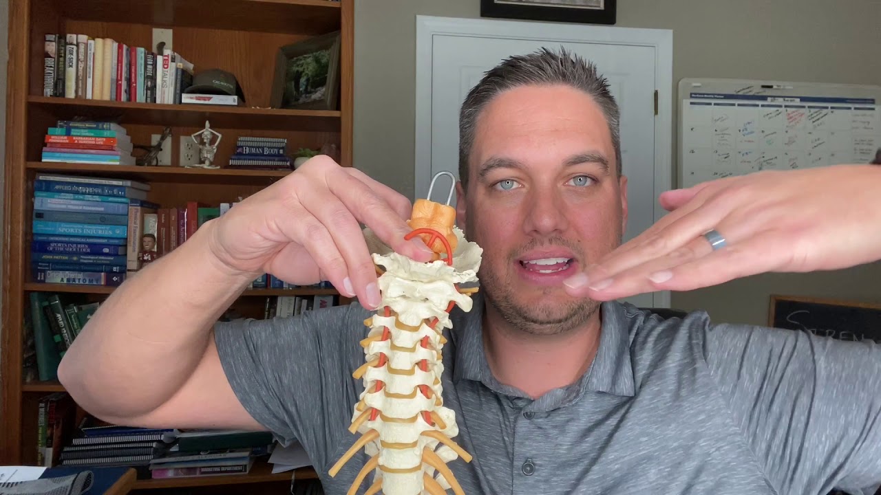 Chiropractic Adjustments for Ear Infections