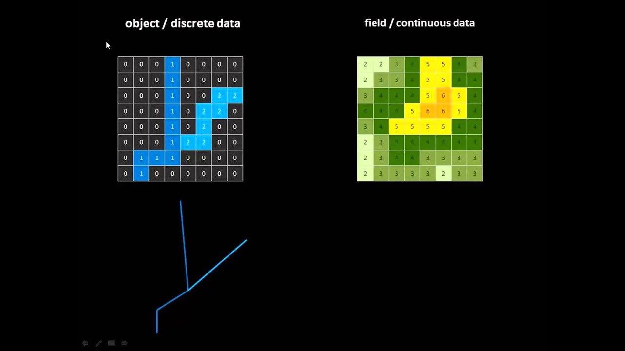 What are raster and vector data?