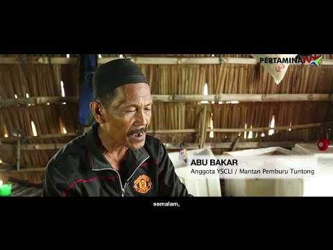 Kisah Abubakar Menjaga Kelestarian Tuntong Laut