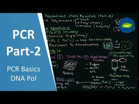PCR Part-2 | Polymerase Chain Reaction | PCR components |Molecular Biology | Basic Science Series