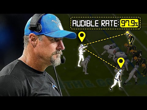 There Is No Answer For What The Lions Are Doing