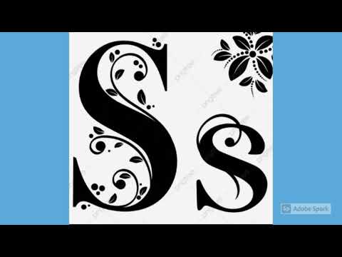 REGLAS ORTOGRÁFICAS DE LA LETRA S CON EJEMPLOS Y EXCEPCIONES