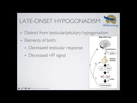 Efficacy and Safety of Testosterone Therapy For Late-onset Hypogonadism: An Update