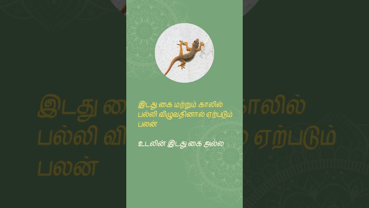 Contact no -8925539937Visit us at https://hitamastro.com/ for first chat as free