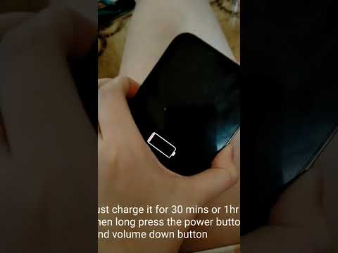 What to do when "iPhone is Findable" and won't charge