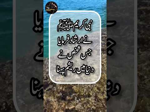 Hadith About Reshmi Libas in Islam ????| Islam Mein Reshmi Libas Pehna Kaisa Hai #shorts #short #hadees