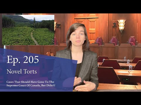 Novel Torts: Cases That Should Have Gone to the Supreme Court of Canada, But Didn’t!