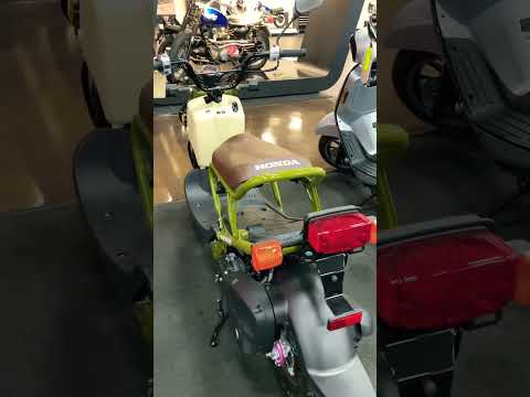 2024 Honda Ruckus at Bert’s Mega Mall #honda #motorcycle