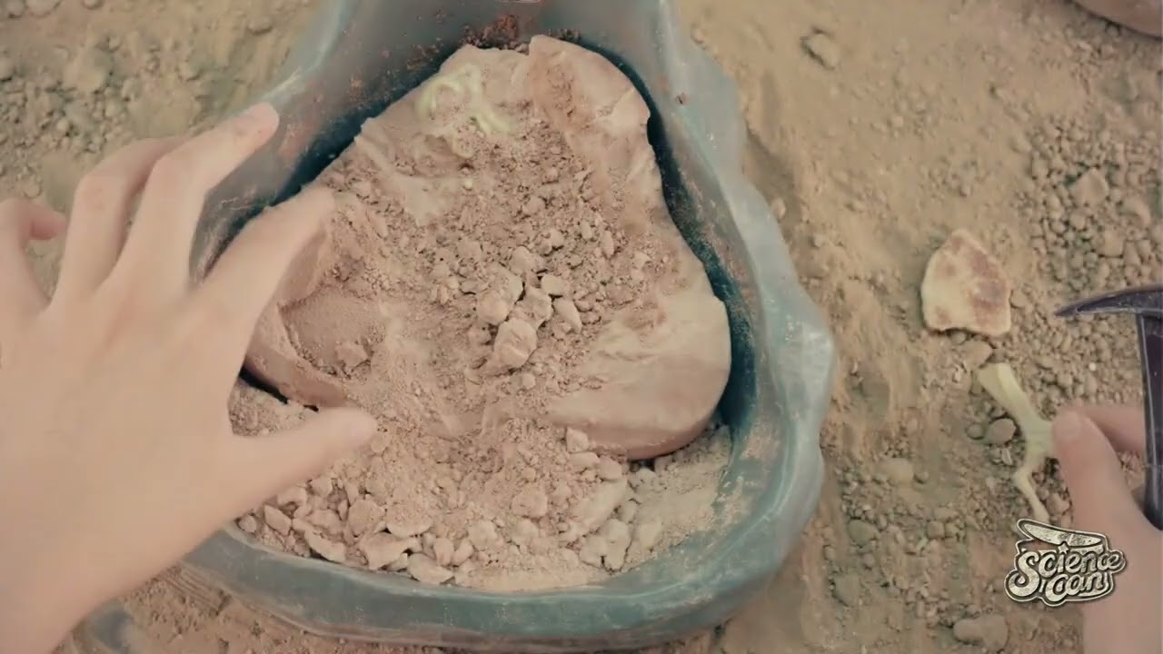 TB160003G TopBright - Dinosaur Fossil Dig Kit Mesozoic