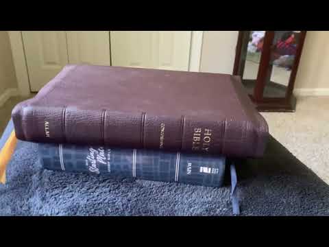 NIV Starting Place Study Bible