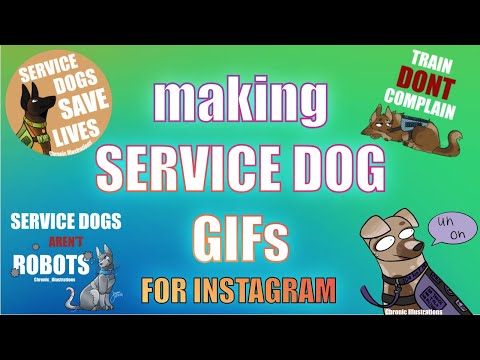 Making SERVICE DOG GIFs for Instagram!