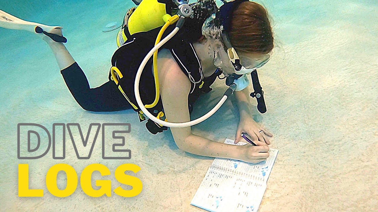 How to Log Your Dives and Why You Should!